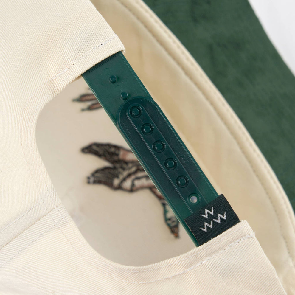 BIRDS OF CONDOR GOOD WEATHER SNAPBACK – Boutique on Main Street